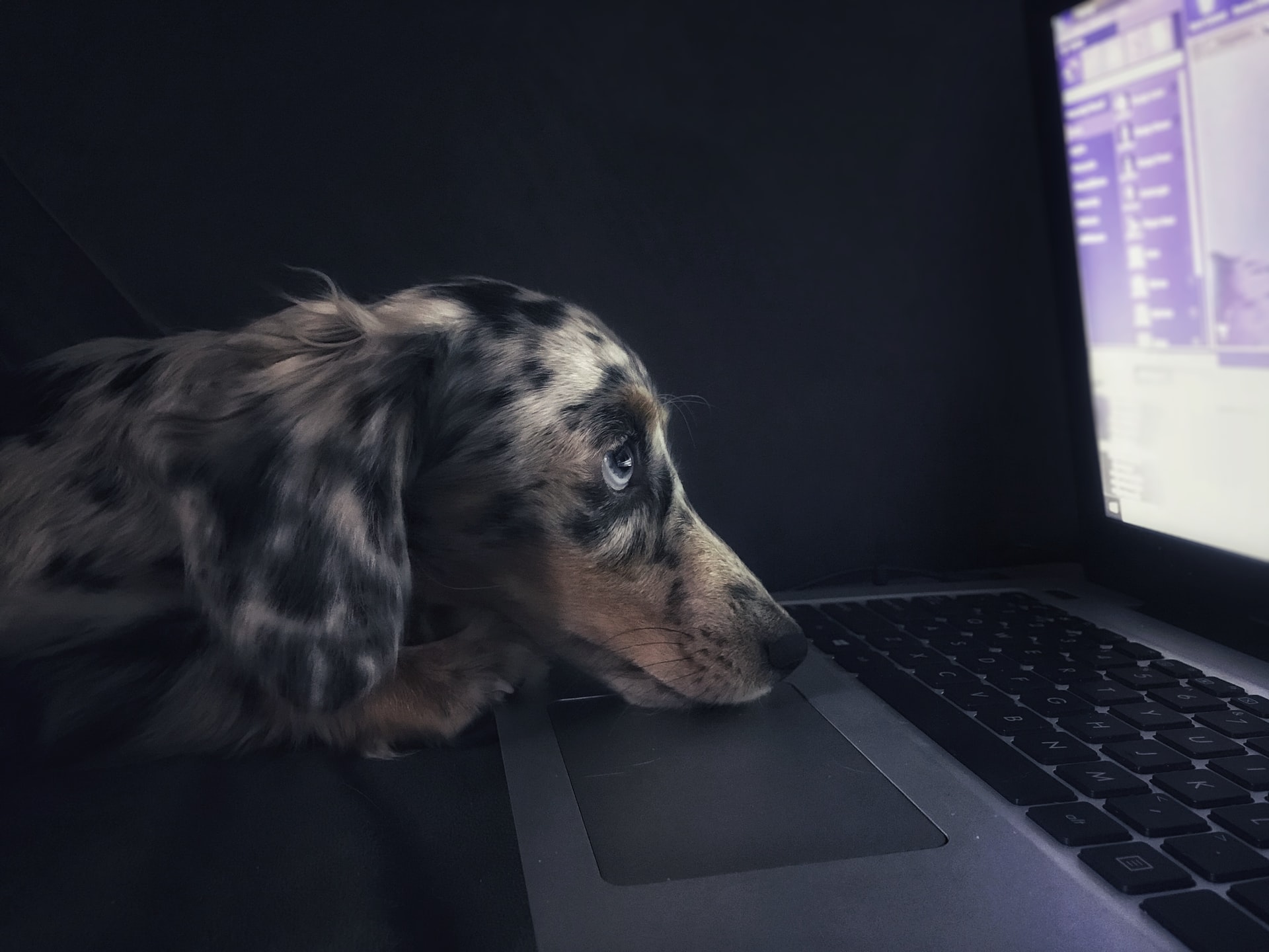 React Must Be In Scope When Using Jsx Reactreact In Jsx Scope